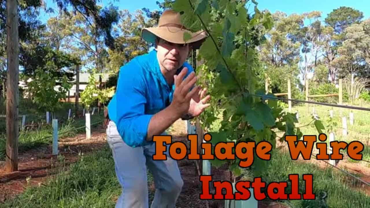 Installing Foliage Wires in a Vineyard and Tensioning Short Rows - Tim ...